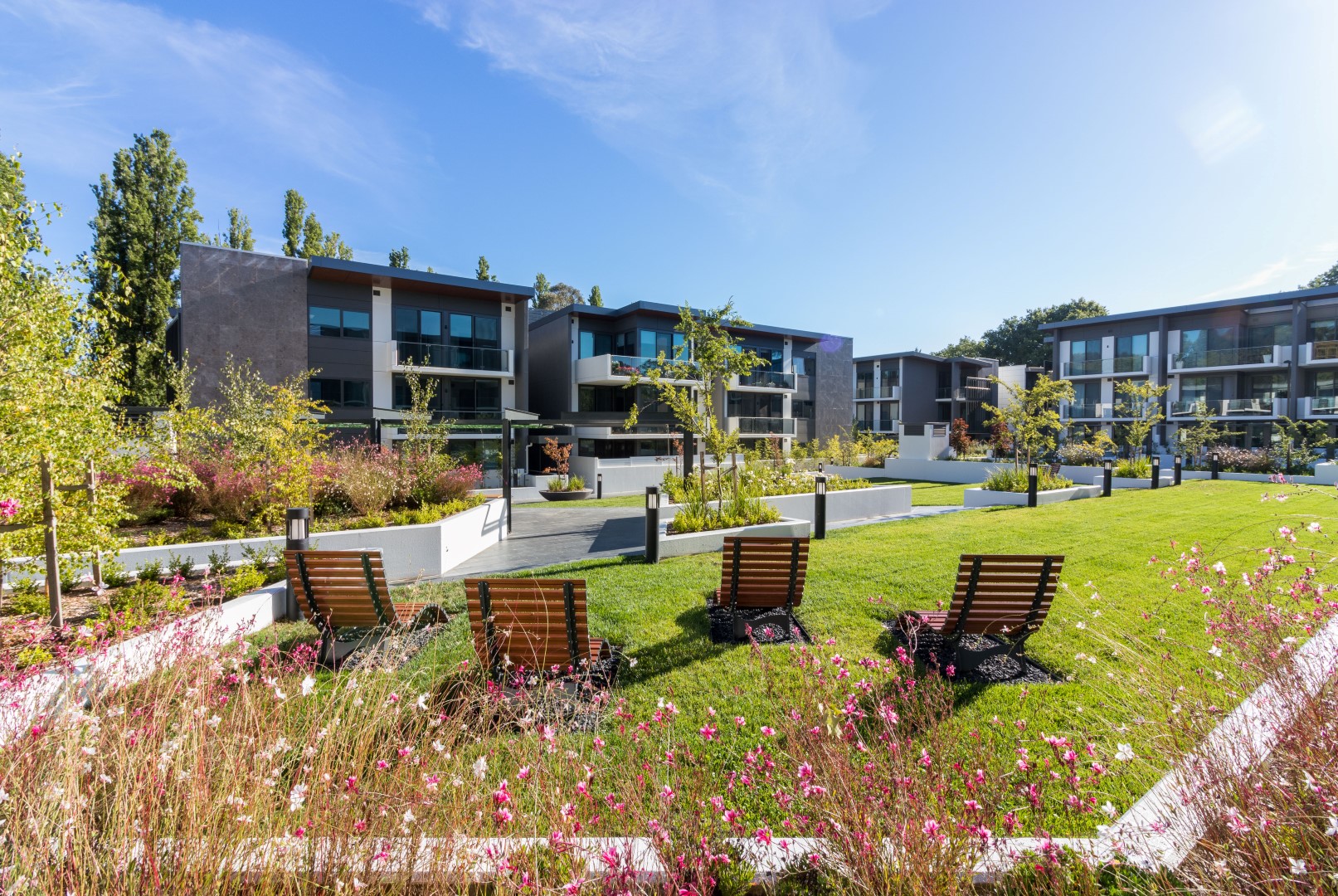 02 - The Ideal Group